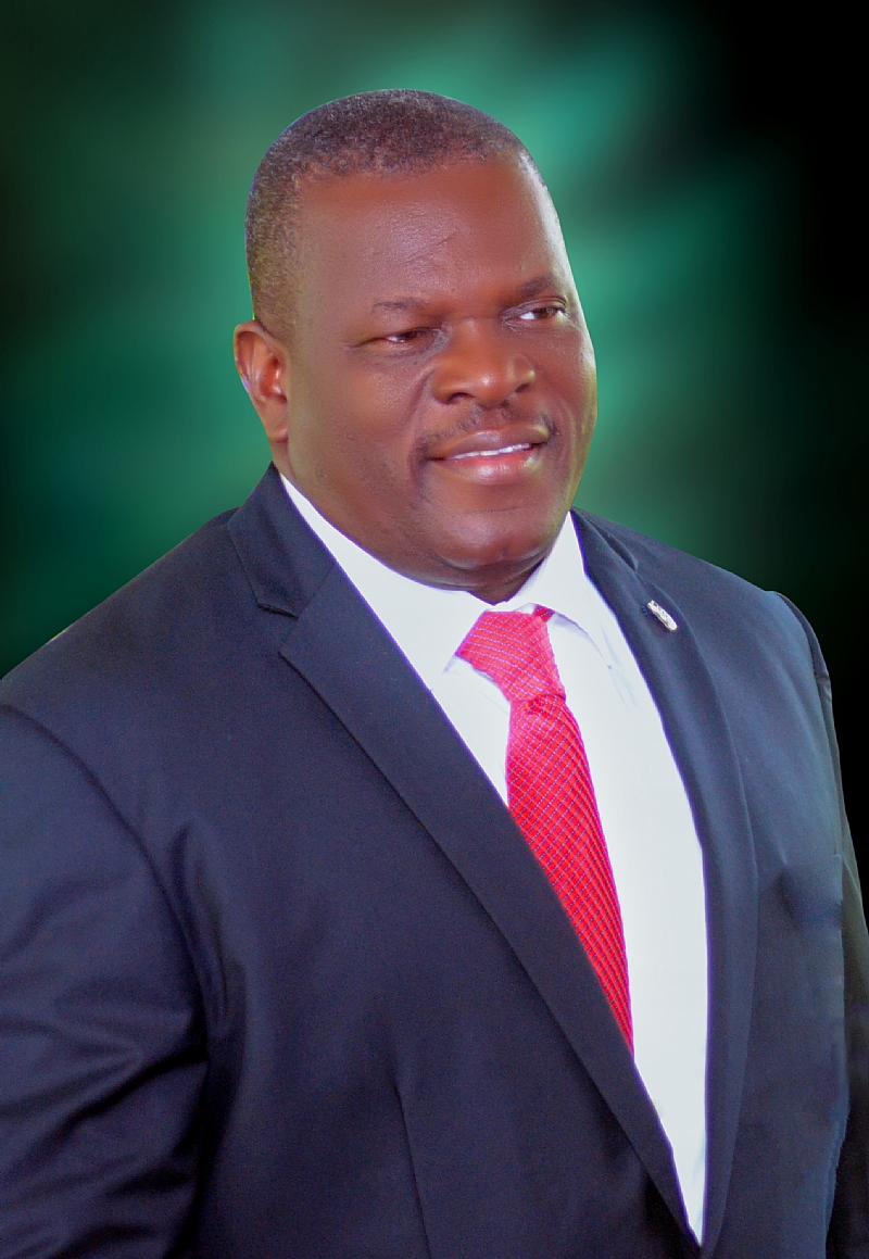 2030 Sustainable Agenda, Insecurity And Ochor’s Template