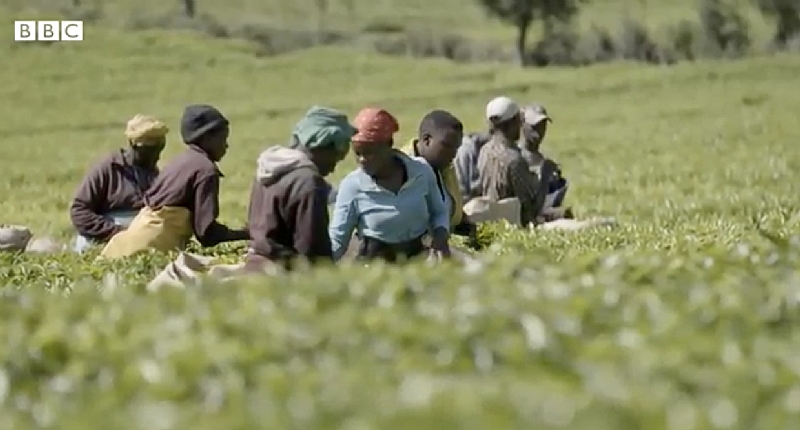 A BBC Undercover Investigation Has Found Evidence Of Sexual Abuse On ...