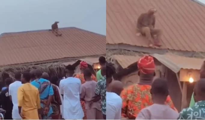 Human With A Head Of An Animal Stuck On A Building Roof