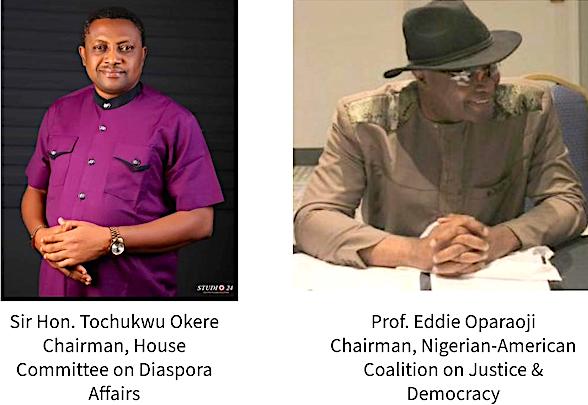 Nigerian Diaspora House Committee On Diaspora Affairs Engagement