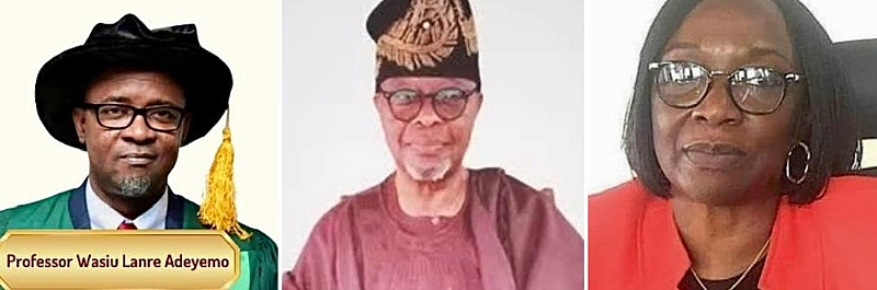 LUTH's Shame: The Heartbreaking Story of Olaleye Adenibuyan and Unknown ...