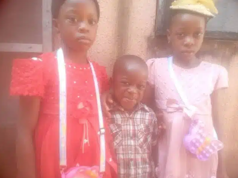 Lecturer’s Three Children Found Dead Inside Deep Freezer In Anambra