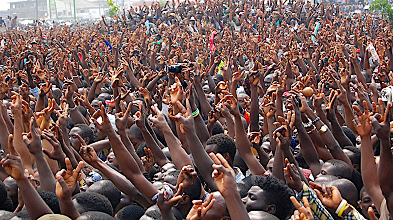 The cockroaches in Nigeria