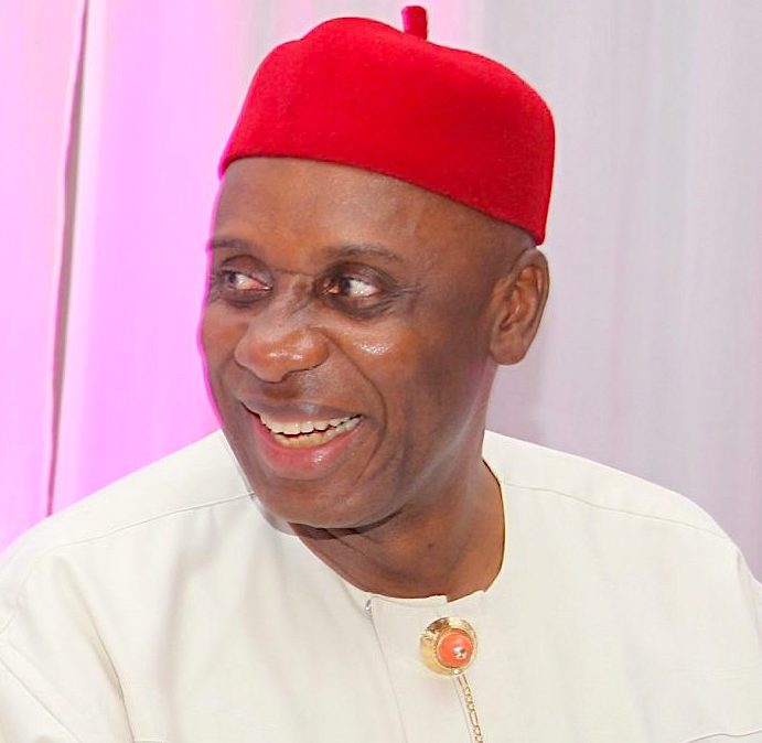 Amechi's Declaration Vindicates Our Call - South East Nigeria ...