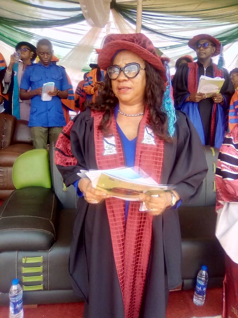 New Nwafor Orizu College of Education Nsugbe (NOCEN) Provost Urges ...