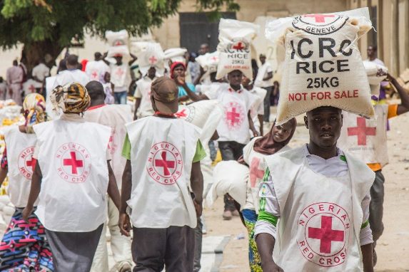 ICRC Distributes Varieties of Seeds To 50,000 Borno farmers