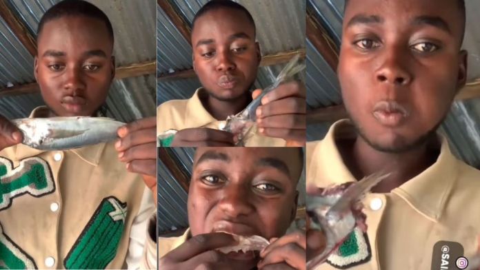 Cannibal! Reactions As A Young Boy Devours Raw Fish In Less Than 2 Seconds