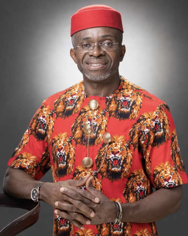 Chioke Chairs The Presentation Of Goosebumps In Enugu