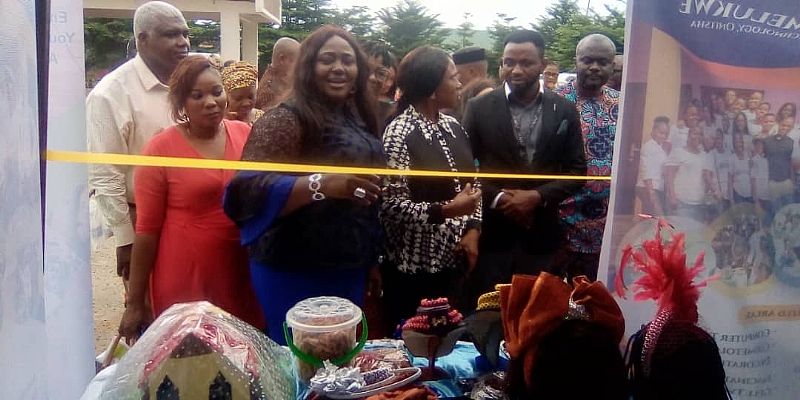 Achieving Health Nigeria Initiative (AHNi) Launchs Start-up Grants For ...