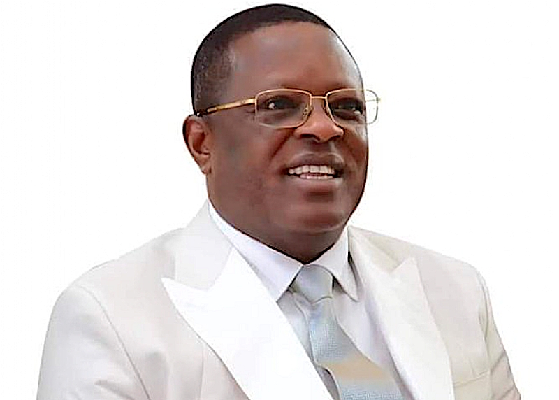 Ohaneze tips Umahi, others for President in 2023.