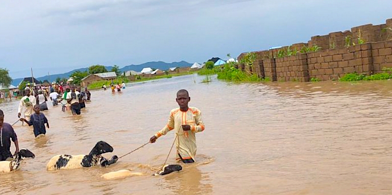 Six Persons Dead, Others Injured As Flood Displaces Residents In Adamawa