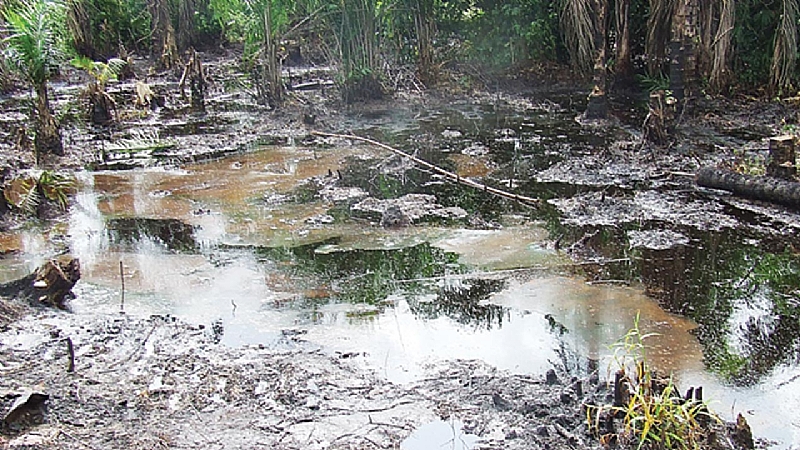 Nigerian Government and Shell Should be Ashamed of Ogoni Pollution ...