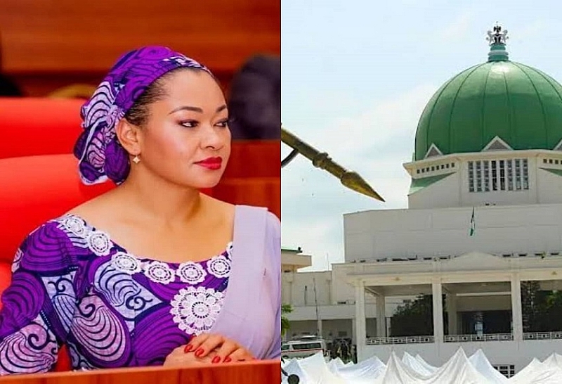 Disregard NASS Letter, Prepare To Resume At Senate— PDP Tells Senator