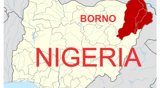 BORNO: IN SEARCH OF A PARADIGM SHIFT