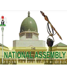N'ASSEMBLY AND CHAPTER 2 OF THE 1999 CONSTITUTION