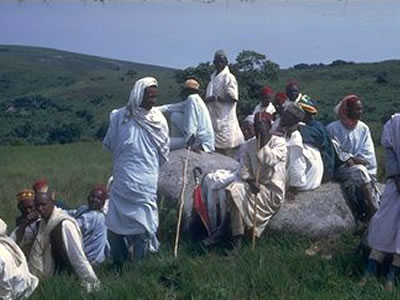 Fulani Cross-Country Cattle Grazing Menace